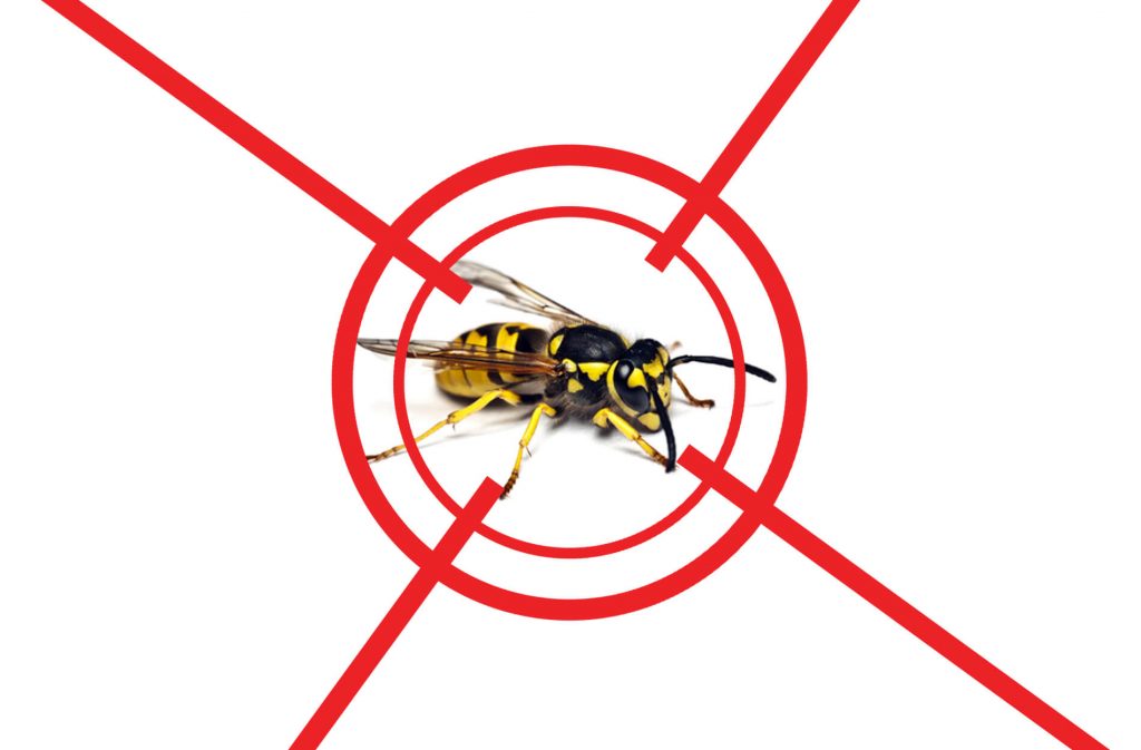 Annual Stinging Insect Prevention - American Pest Services